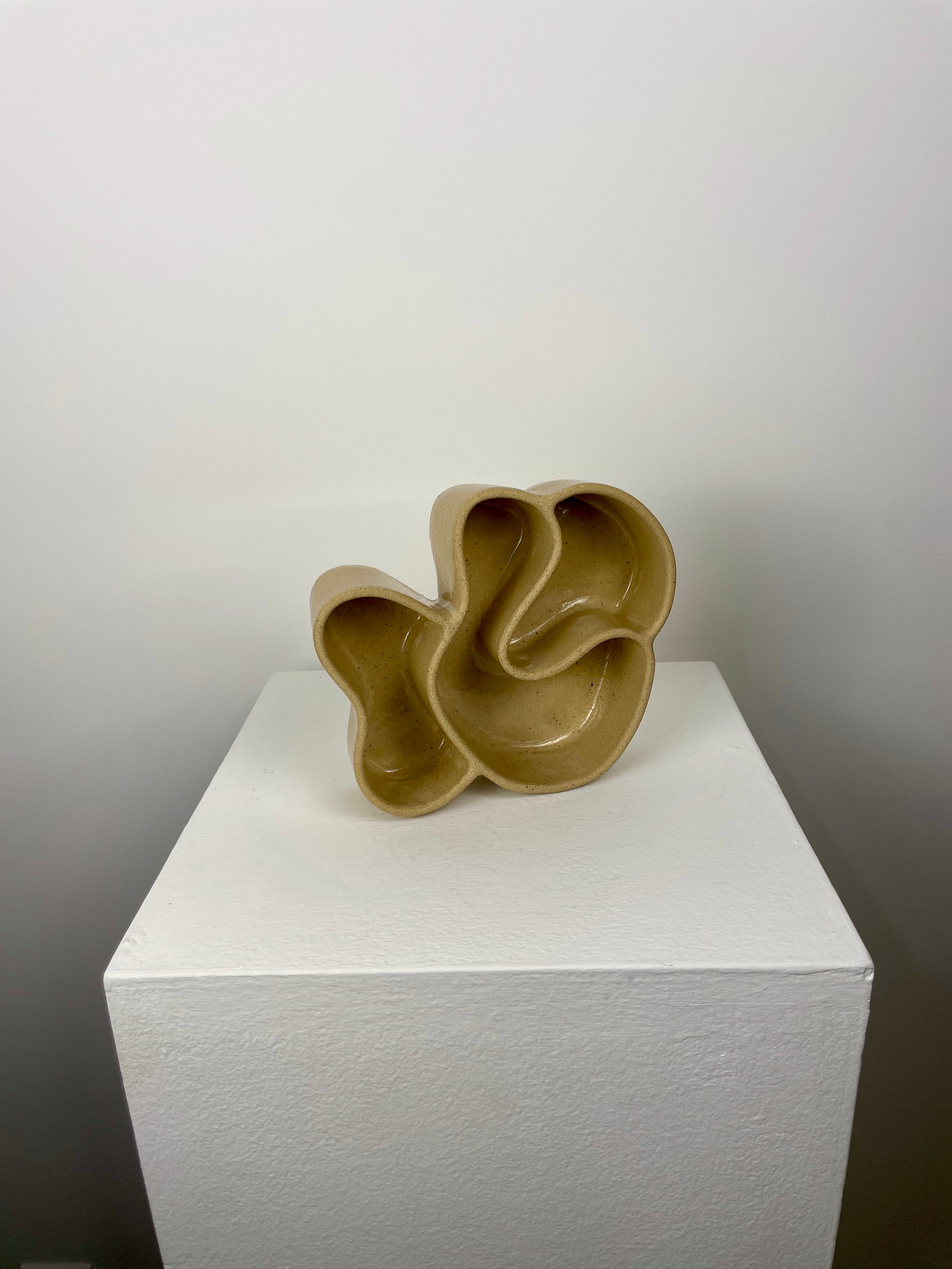 Buff Curio #6, by Ariel Zimman – Northwind Art