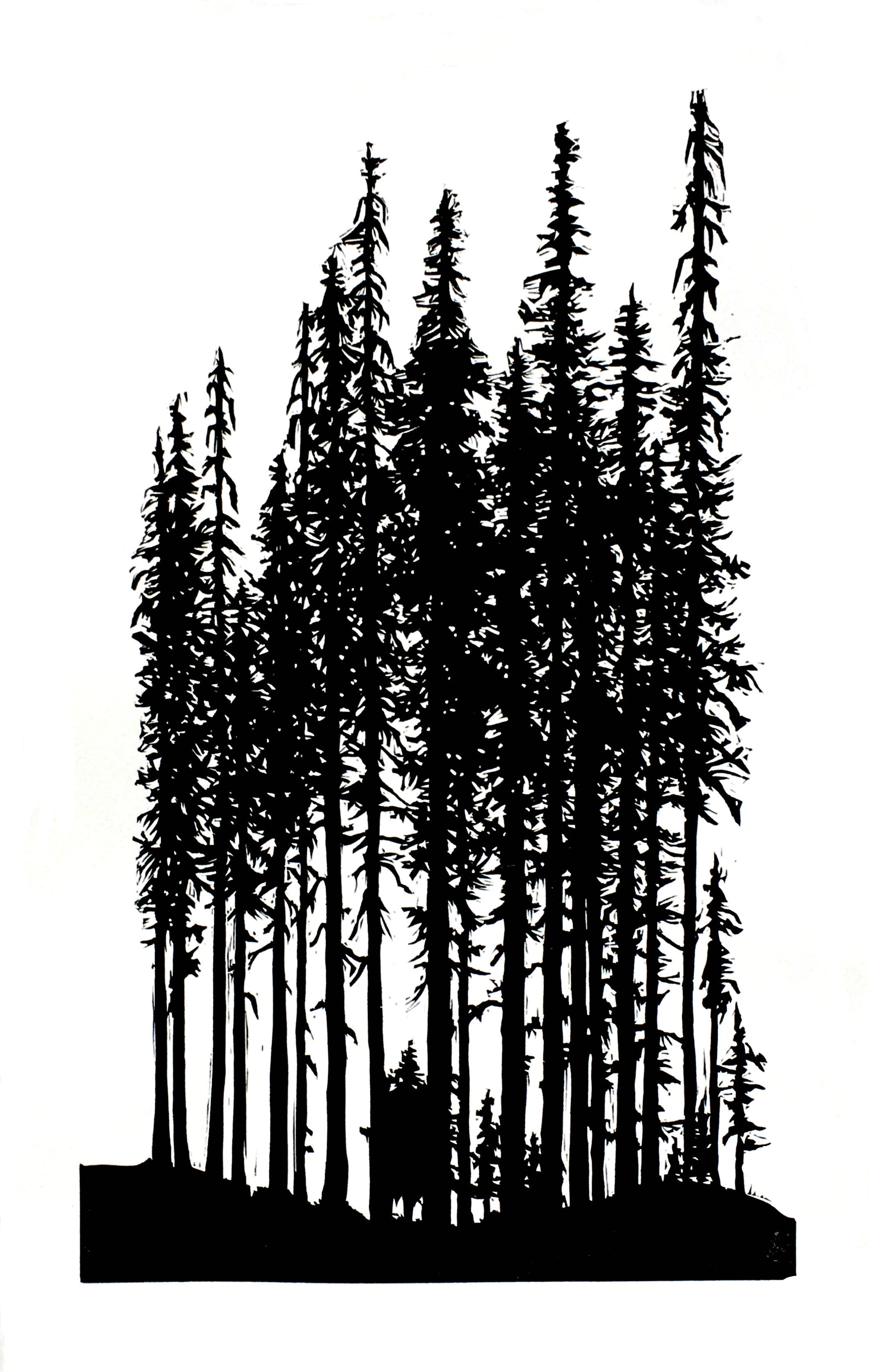 Grove, by Kelli MacConnell – Northwind Art