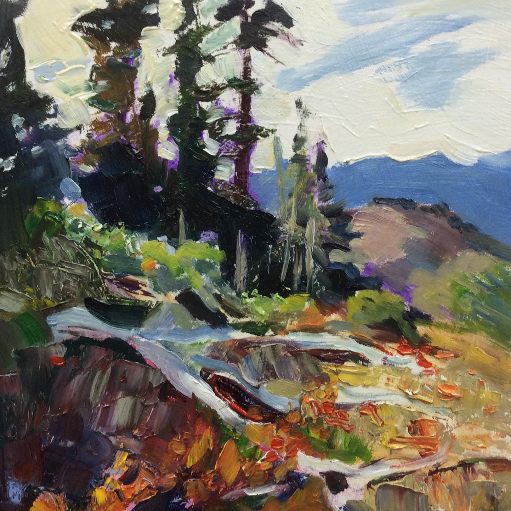 Olympic Hillside, by Marian Morris – Northwind Art